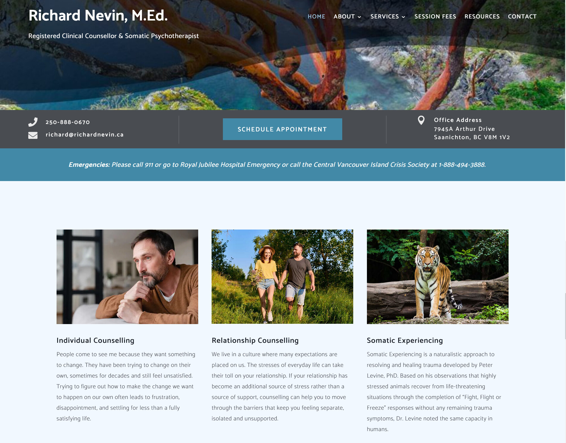 Richard Nevin Counseling Website By Web321